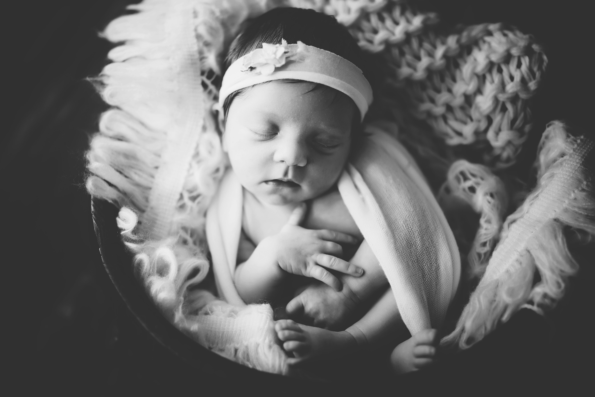 June Johnson Newborn Session in Studio | Viroqua Wisconsin Photographer ...